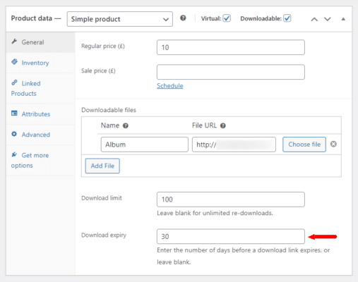 WooCommerce Digital Products: How to Sell and Manage - Iconic